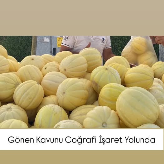 Gönen Kavunu Coğrafi İşaretle Korunacak | Bandirma.com.tr
